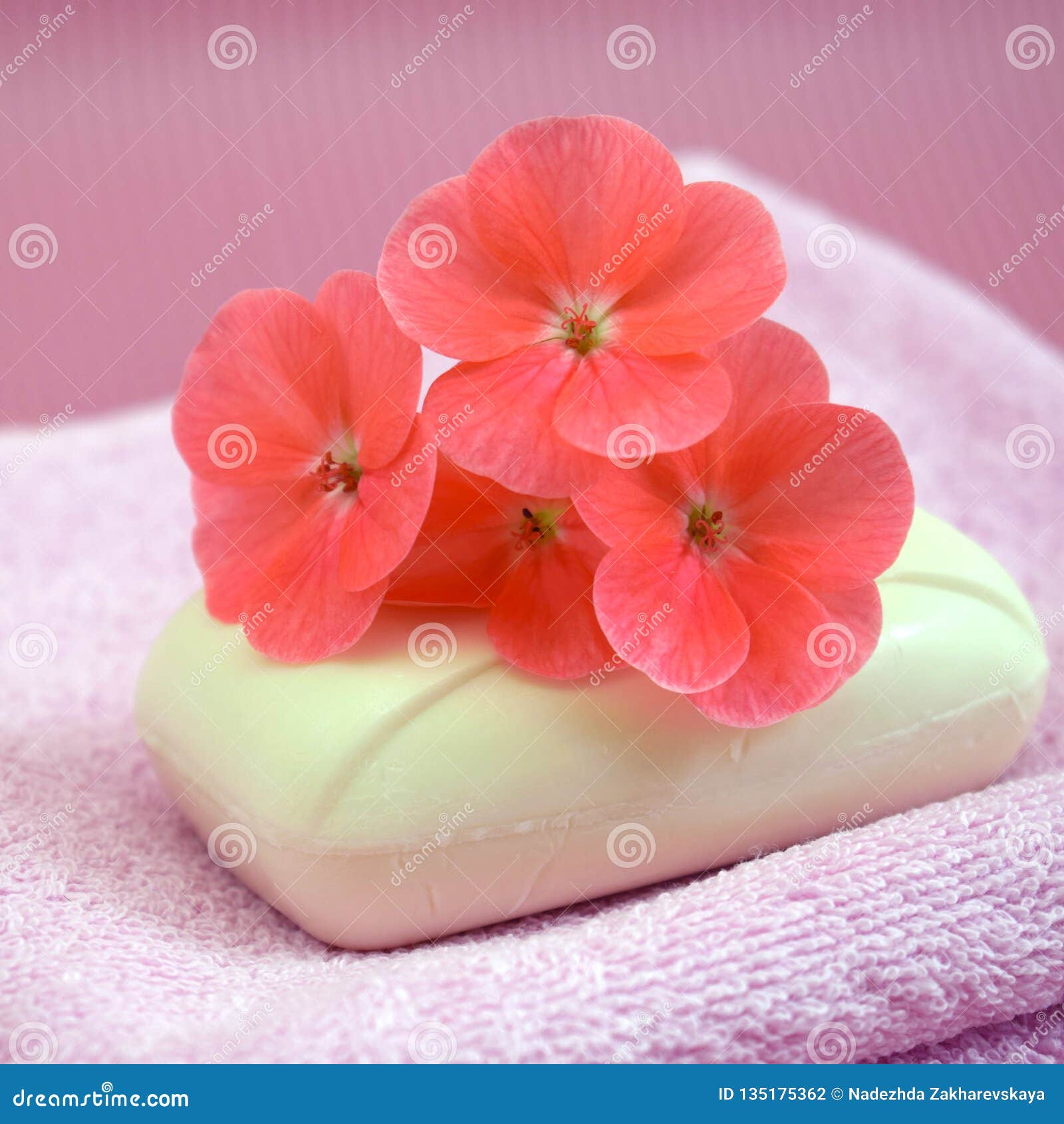 Fragrant flower soap. stock photo. Image of nature, fresh - 135175362