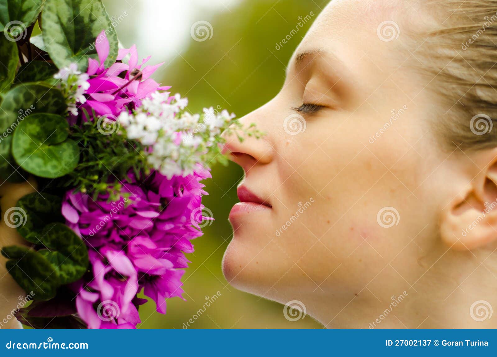 Fragrant flowers stock image. Image of smelling, purple - 27002137