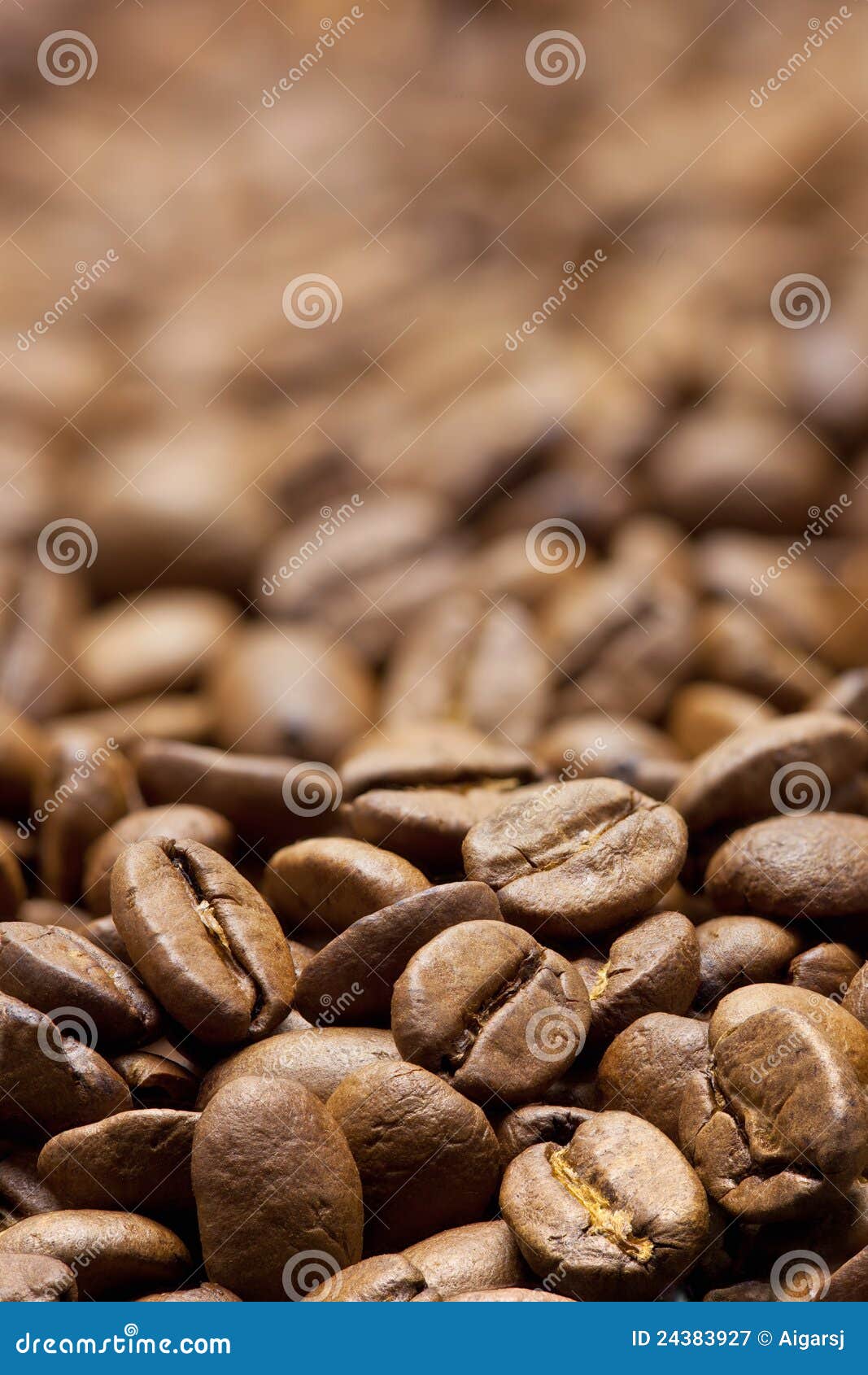 Fragrant fried coffee stock image. Image of culture, mocha - 24383927