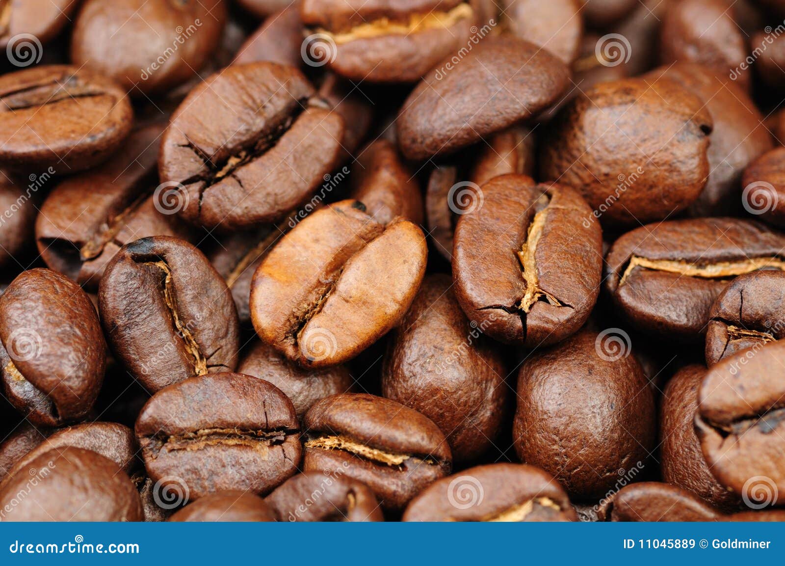 Fragrant Fried Coffee Beans Stock Image - Image of black, latte: 11045889