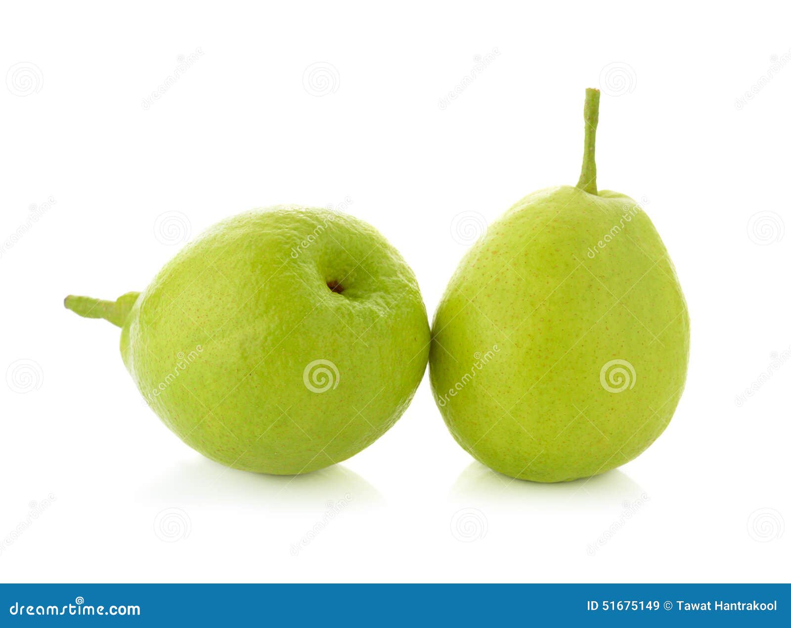 Fragrant Pear Isolated on White Background Stock Image - Image of ...