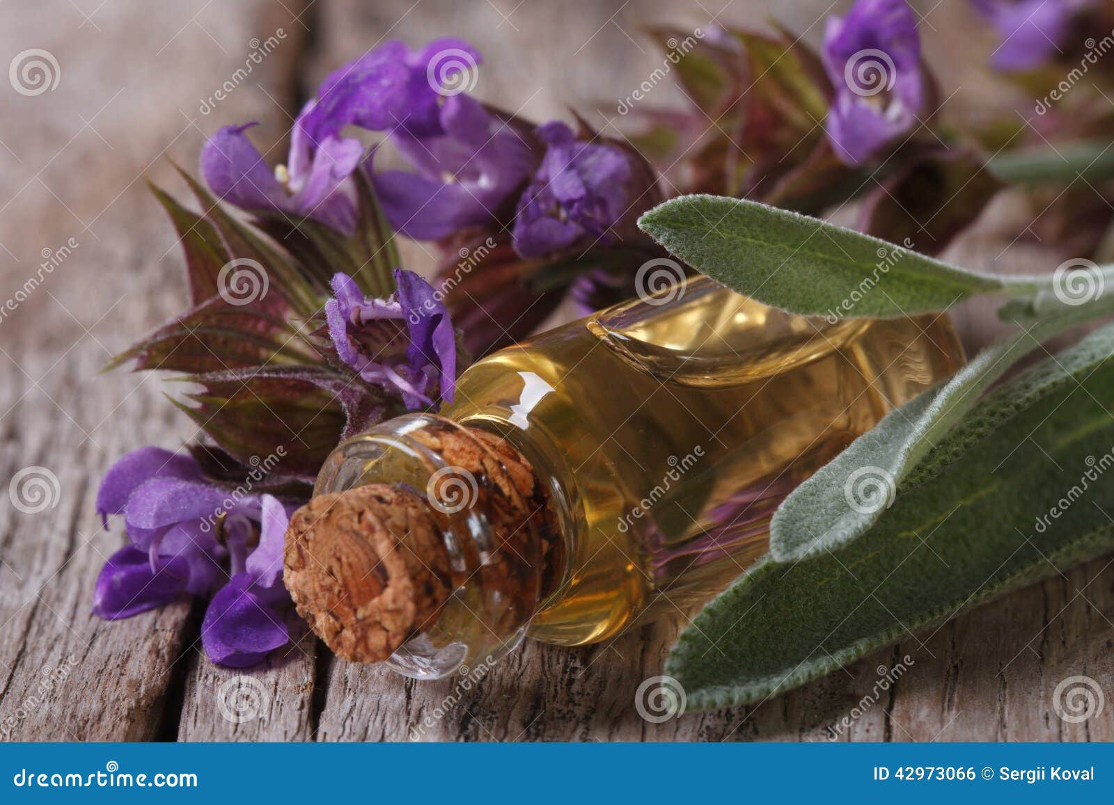 Fragrant Sage Oil in a Glass Bottle Stock Photo - Image of glass ...