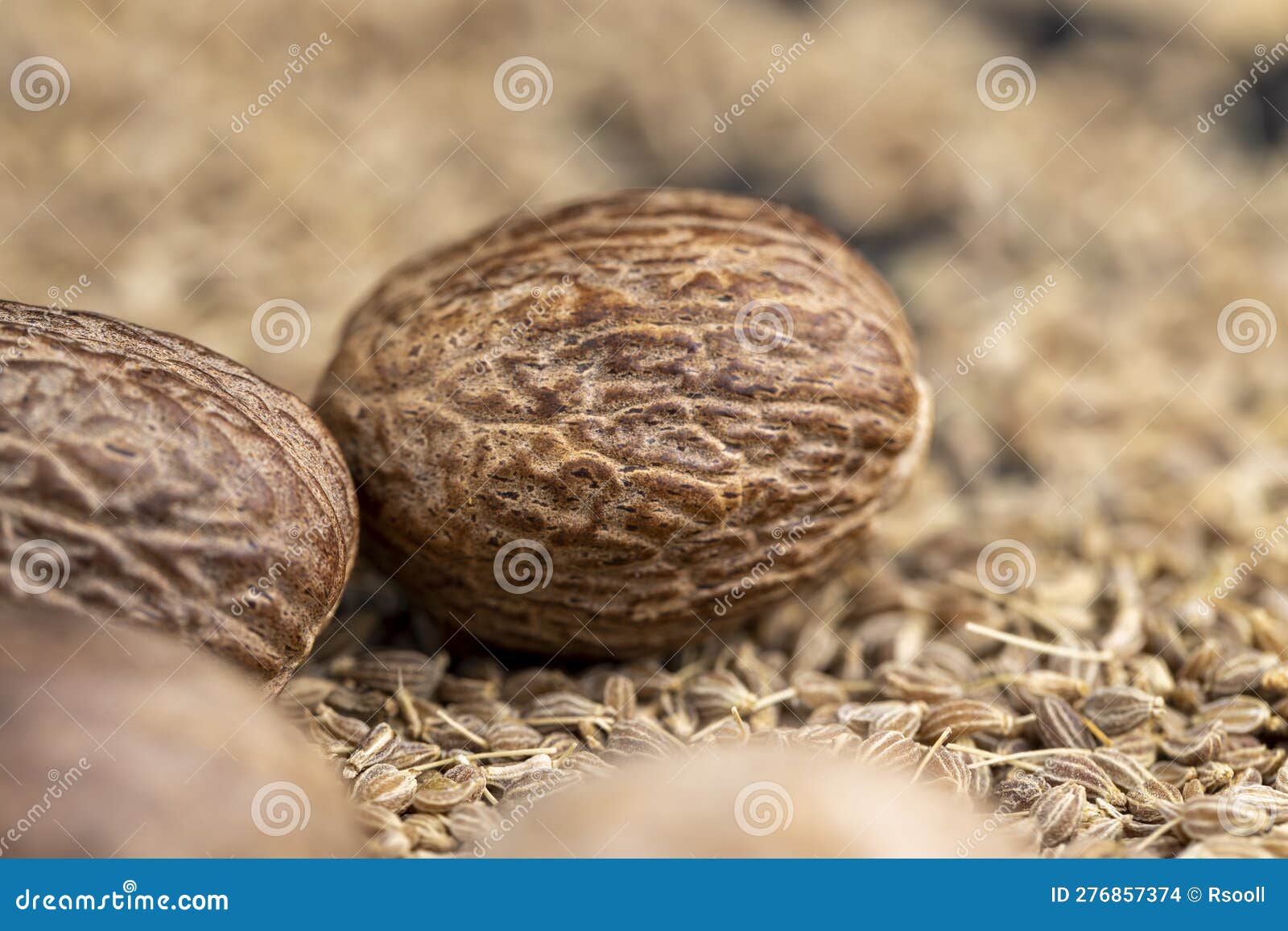 Fragrant Whole Nutmeg in the Kitchen Stock Photo - Image of halve ...
