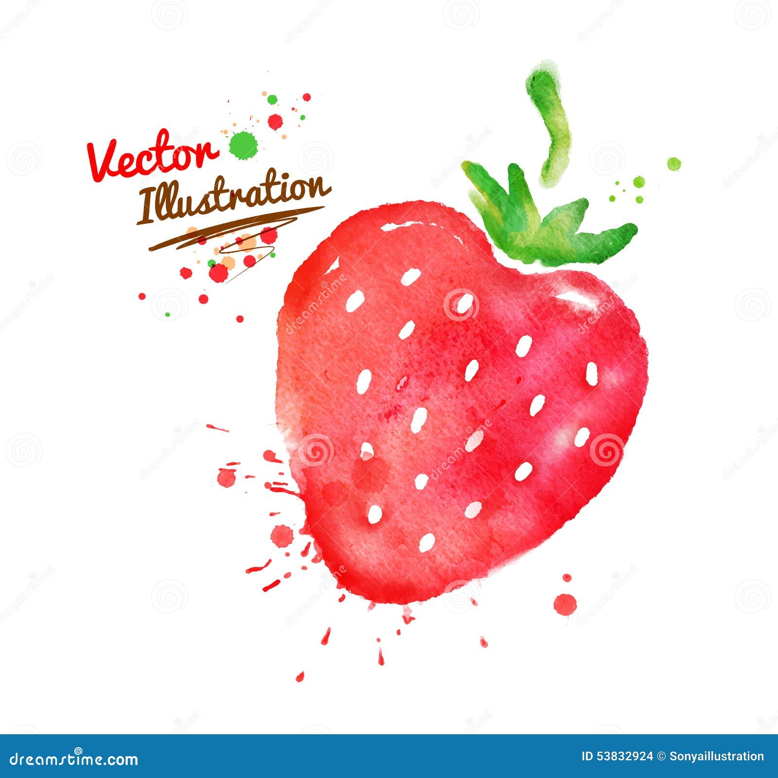Fraise d'aquarelle illustration de vecteur. Illustration du végétarien ...