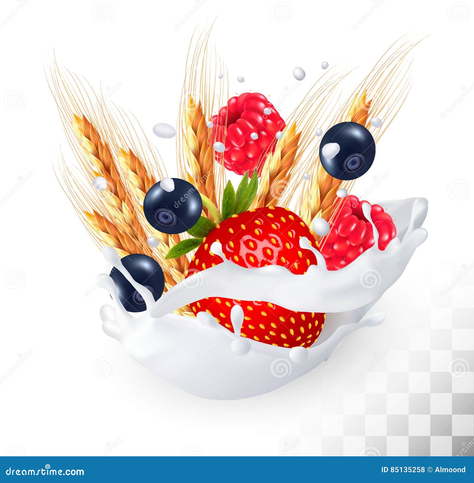 Fraise Et Myrtille Et Framboise Illustration de Vecteur - Illustration ...