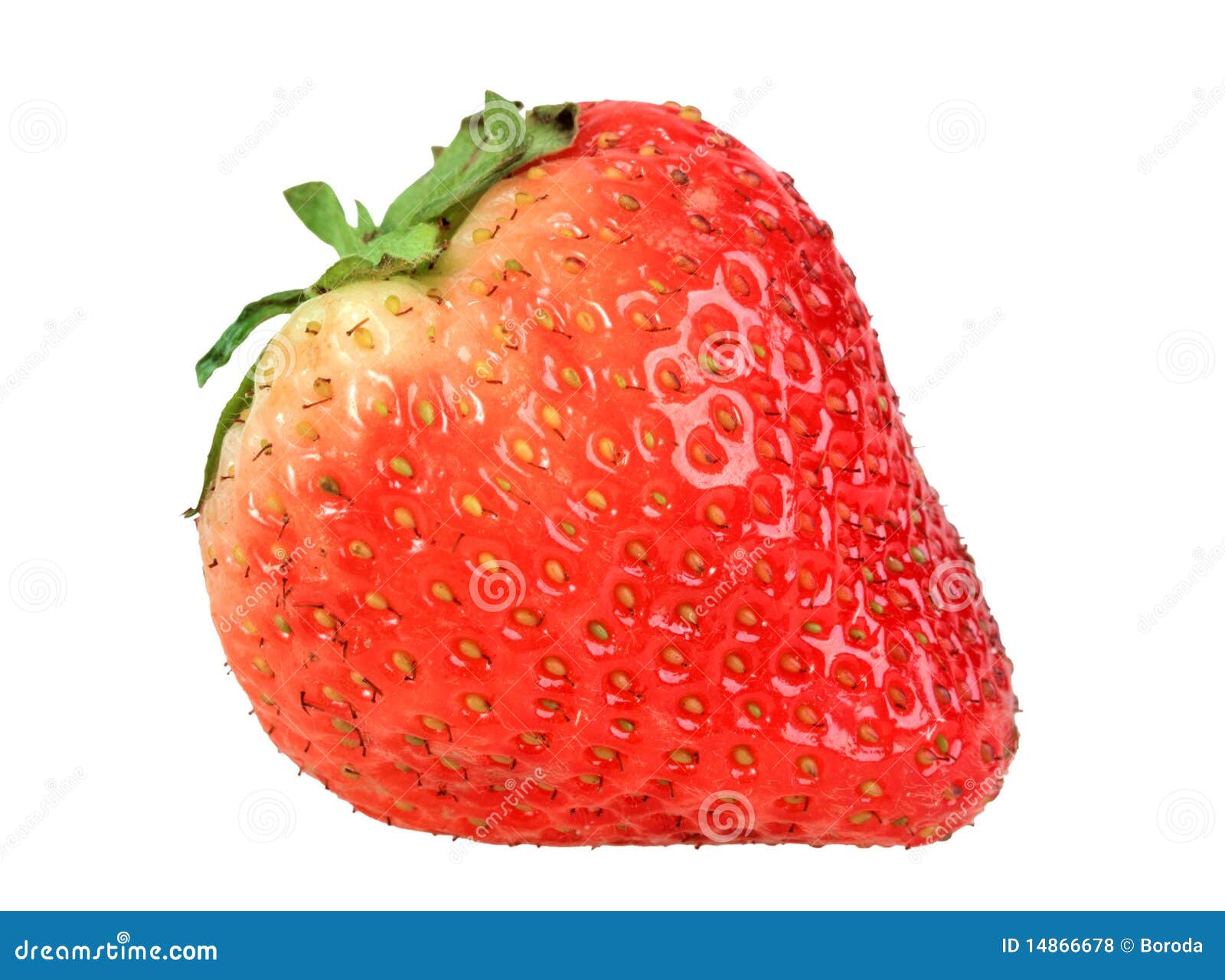 Fraise rouge simple photo stock. Image du nourriture - 14866678