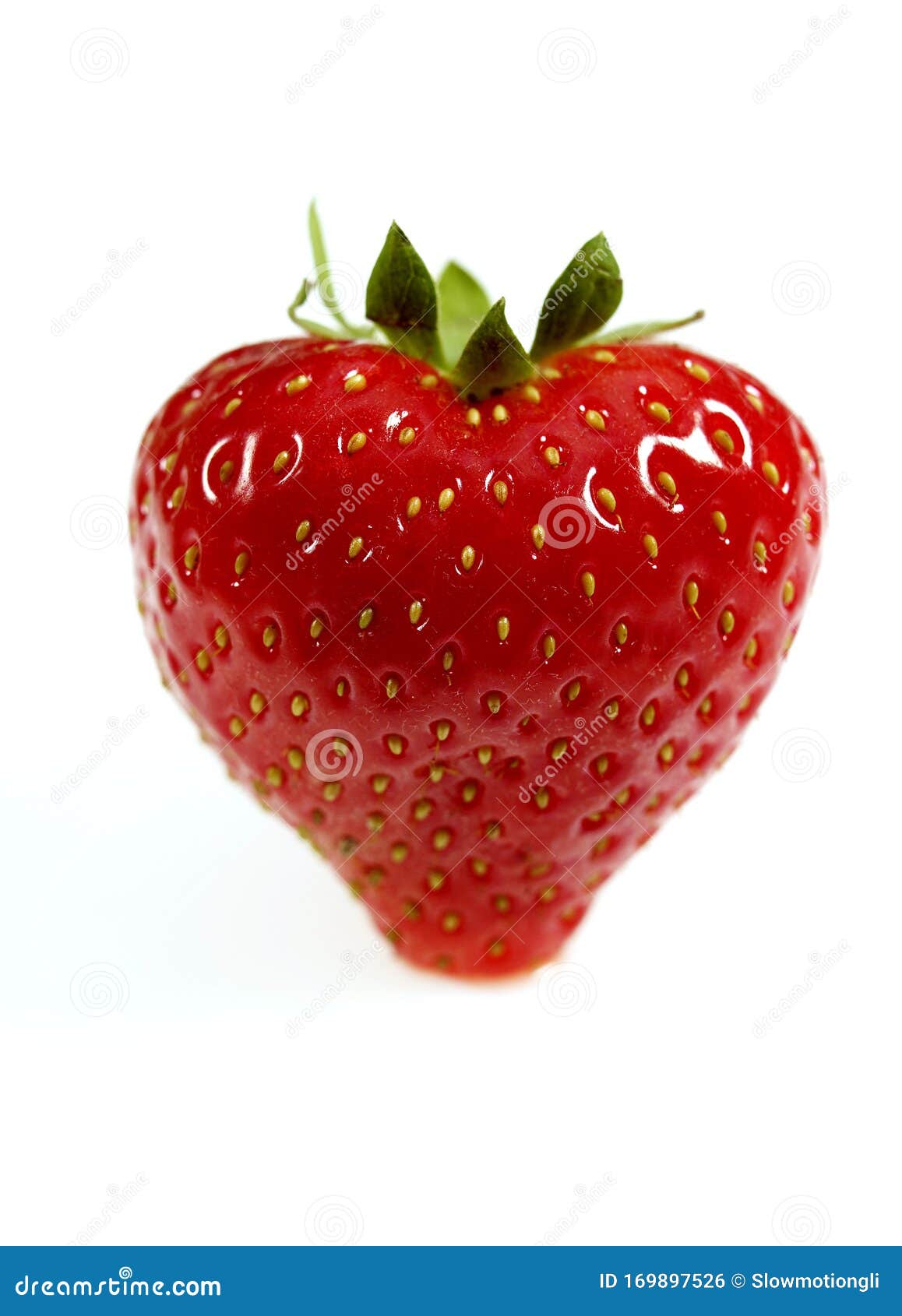 FRAISE stock photo. Image of white, berry, inside, still - 169897526