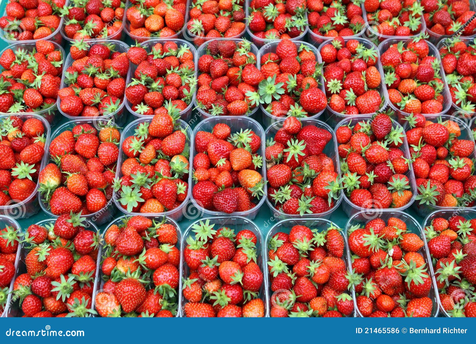 Fraises photo stock. Image du marché, agriculture, rouge - 21465586