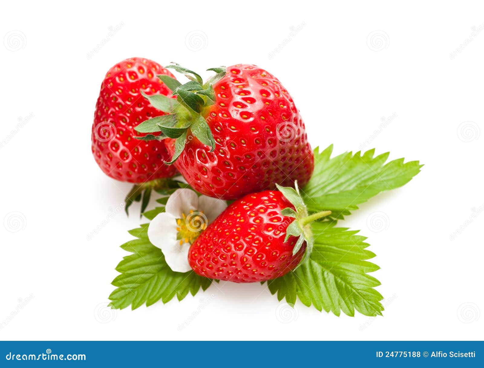 Fraises photo stock. Image du fleur, lames, bouquet, nature - 24775188