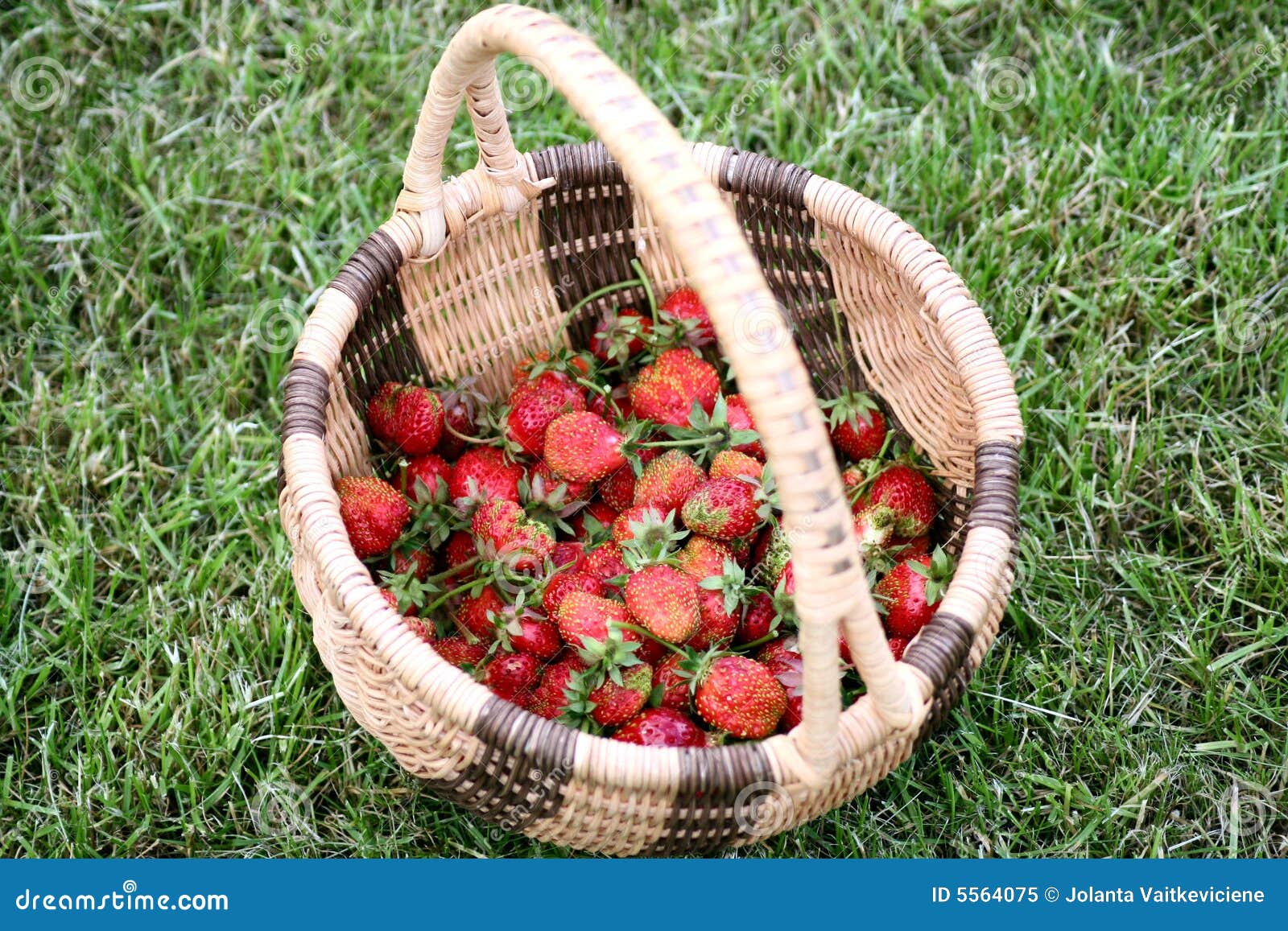 Fraises De Jardin Dans Un Panier En Osier Image stock - Image du ...