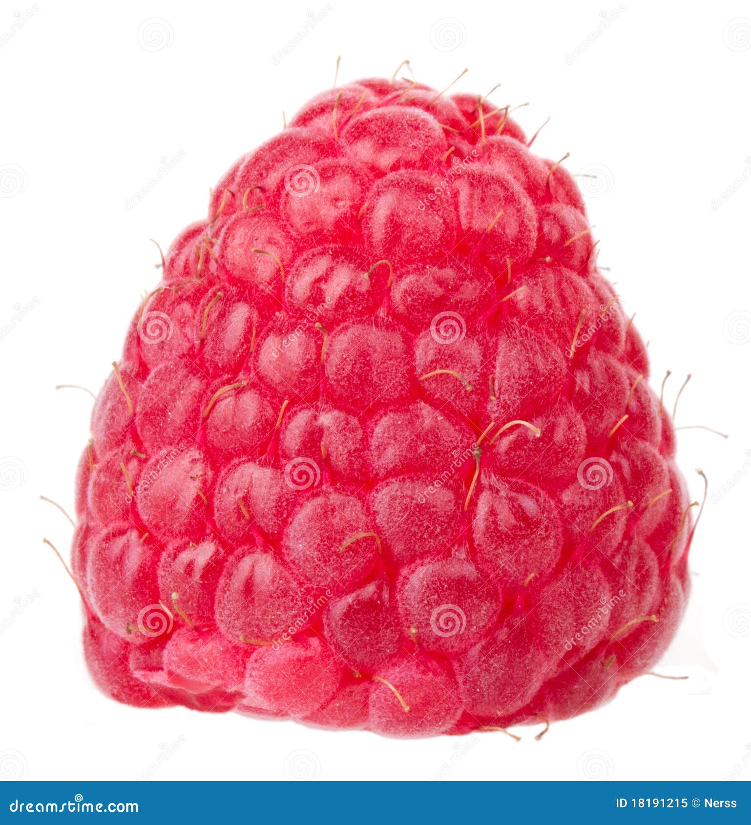 Framboesa imagem de stock. Imagem de pureza, habitat - 18191215