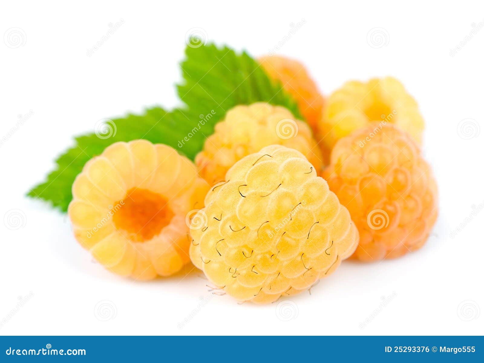 Framboesa branca foto de stock. Imagem de vegetariano - 25293376