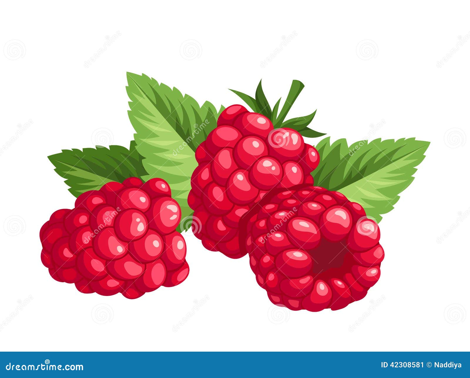 Framboise Illustration De Vecteur Illustration de Vecteur ...