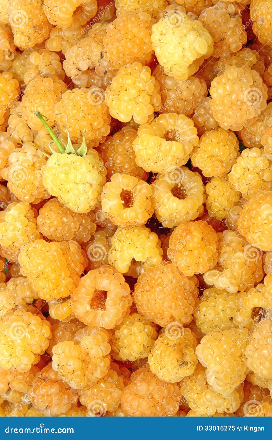 Framboise jaune mûre image stock. Image du village, fruits - 33016275