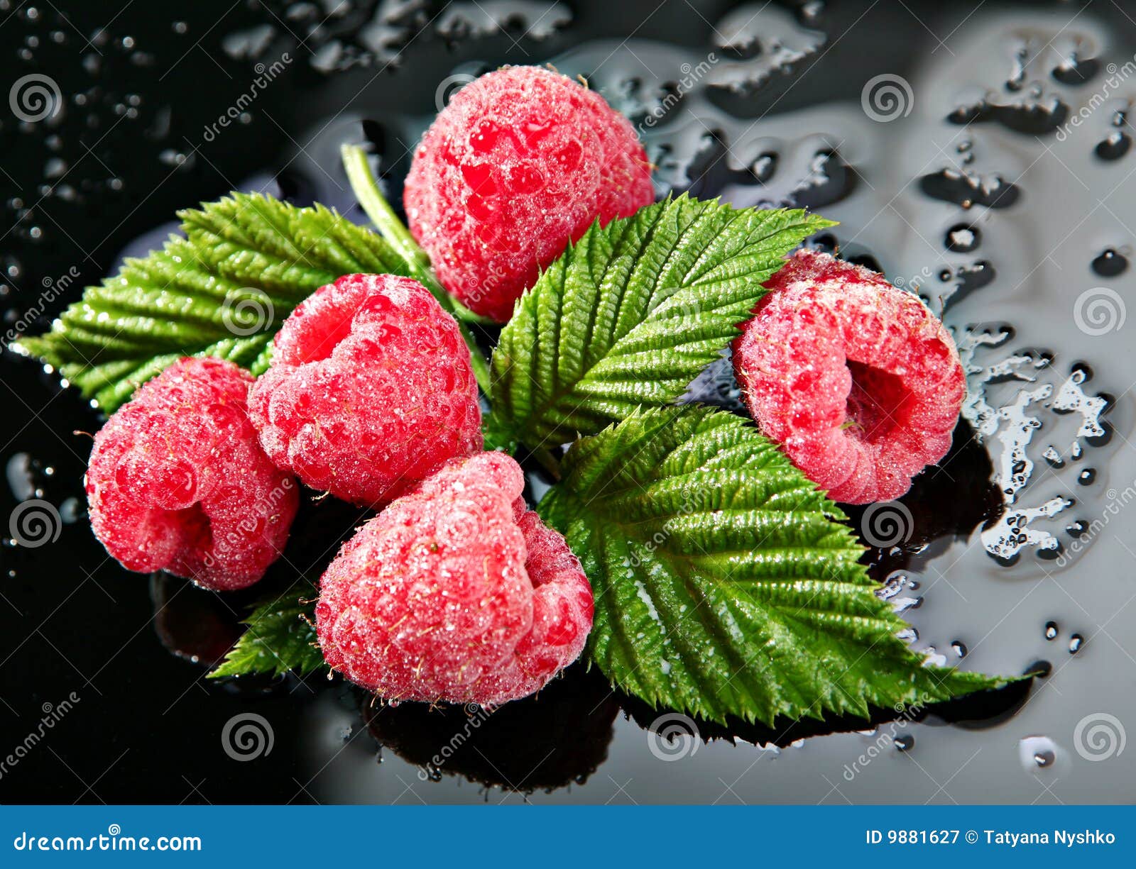 Framboise noire image stock. Image du baies, doux, noir - 9881627