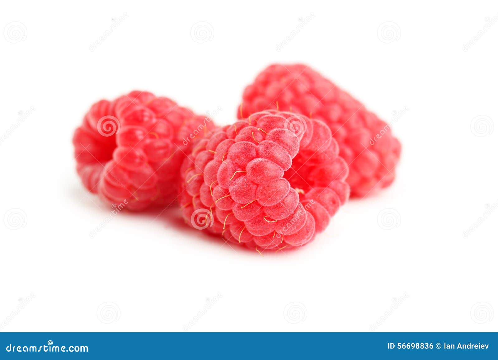 Framboise rouge photo stock. Image of délicieux, rouge - 56698836