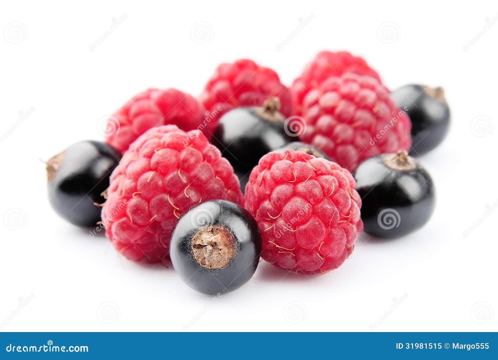 Framboises et cassis image stock. Image du centrale, dessert - 31981515