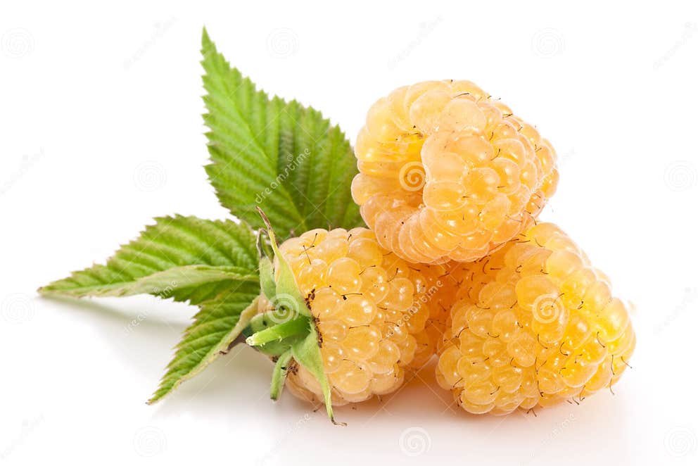 Framboises jaunes. photo stock. Image du fruits, lame - 30861102