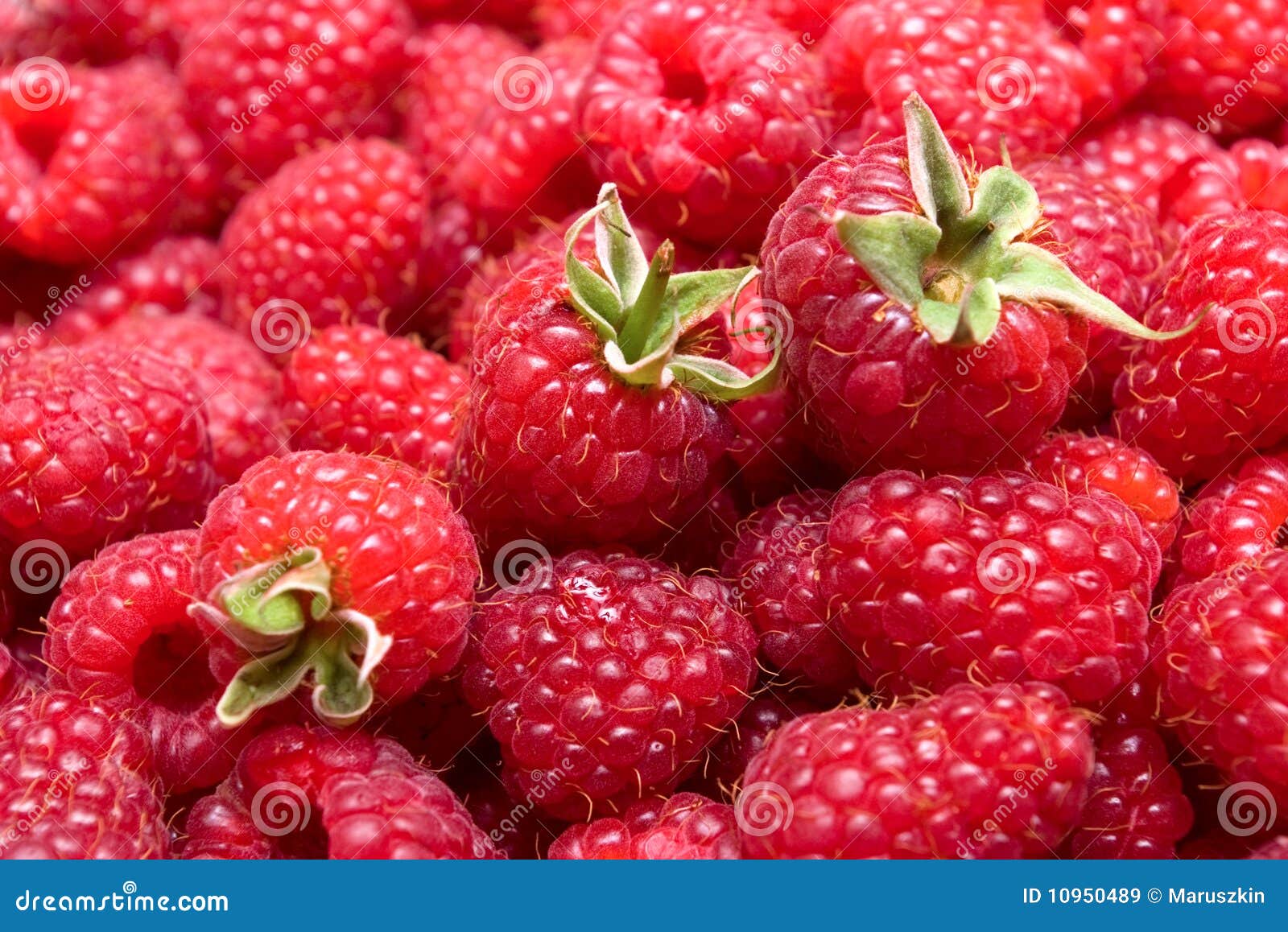 Framboises rouges image stock. Image of horizontal, vert - 10950489