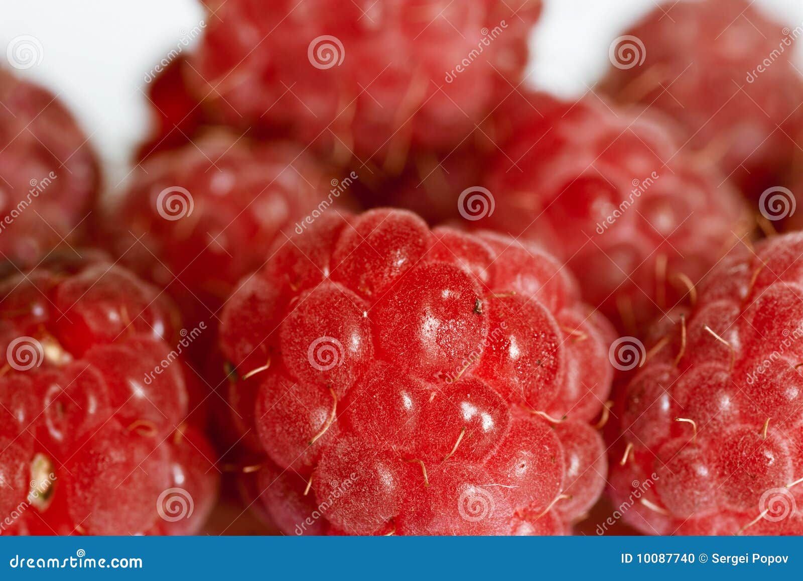 Framboos stock foto. Image of producten, struik, geïsoleerd - 10087740