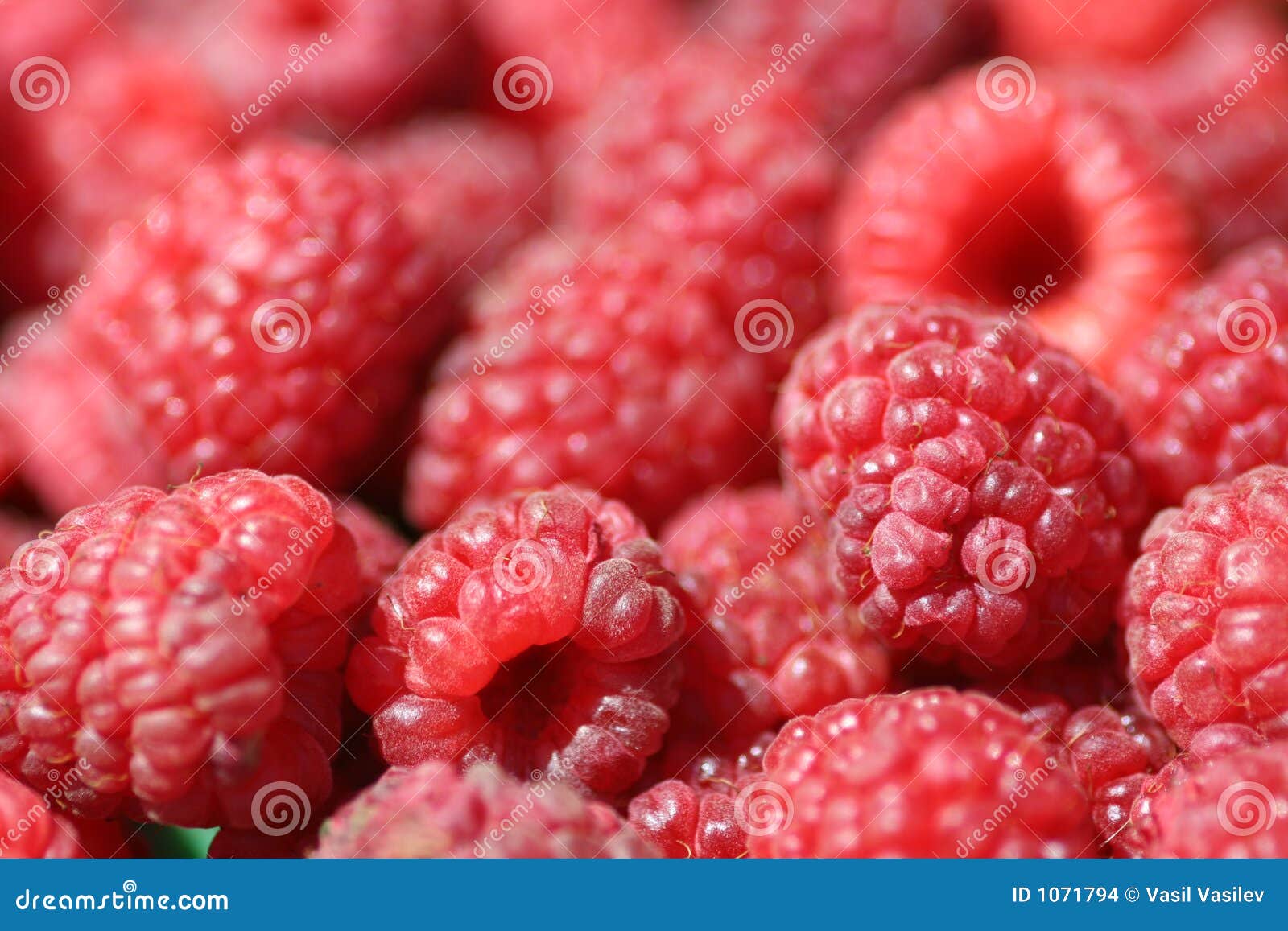 Framboos stock foto. Image of voedsel, sappig, nave, rood - 1071794