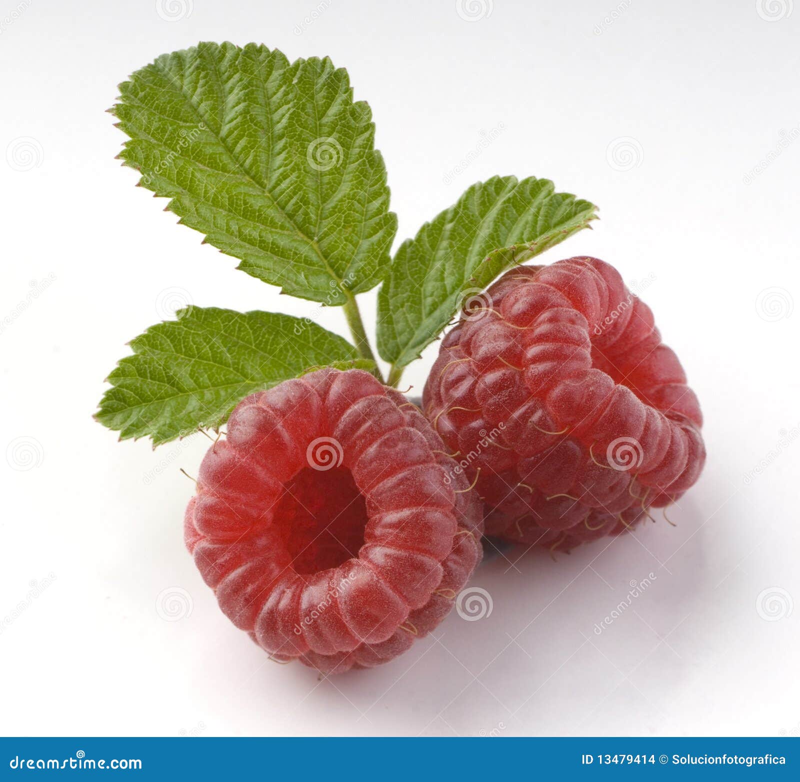 Framboos stock foto. Image of frambozen, fruitig, lomp - 13479414