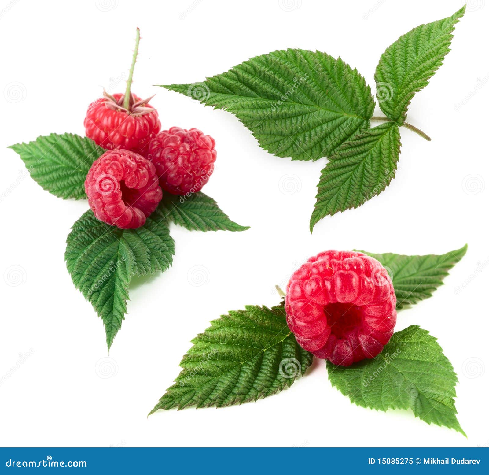 Framboos stock afbeelding. Image of volledig, aroma, sappig - 15085275