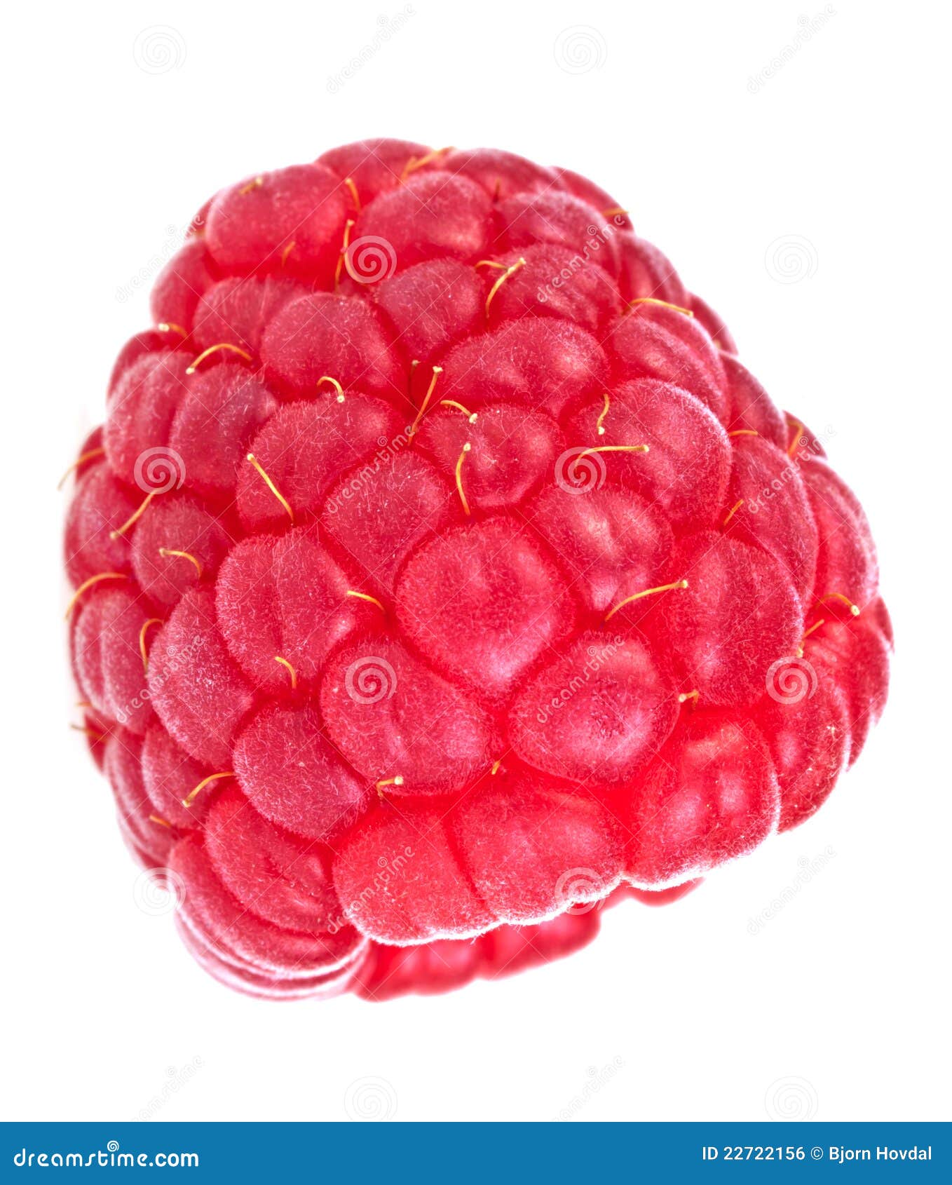 Framboos stock foto. Image of gezondheid, organisch, framboos - 22722156