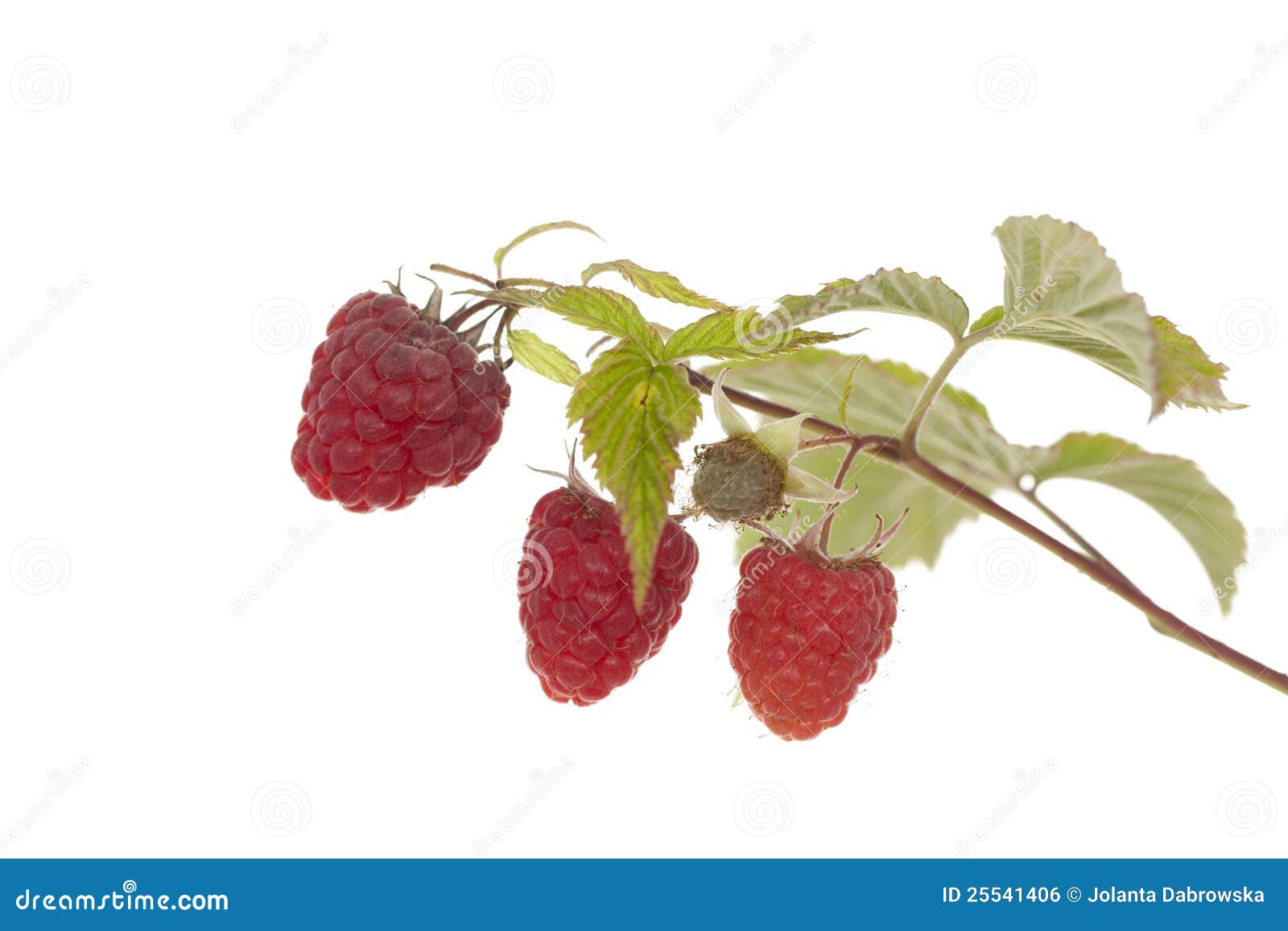 Framboos stock foto. Image of groot, achtergrond, macro - 25541406