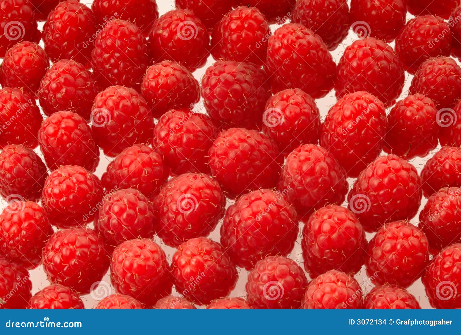 Framboos stock foto. Image of mooi, organisch, voedsel - 3072134