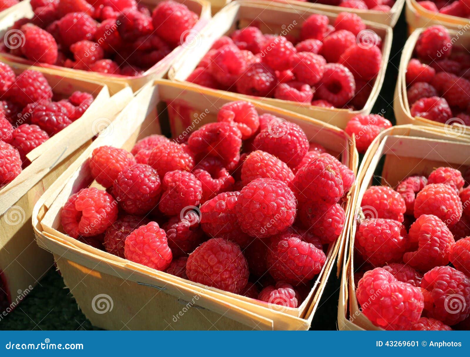 Framboos stock afbeelding. Image of versheid, vegetariër - 43269601