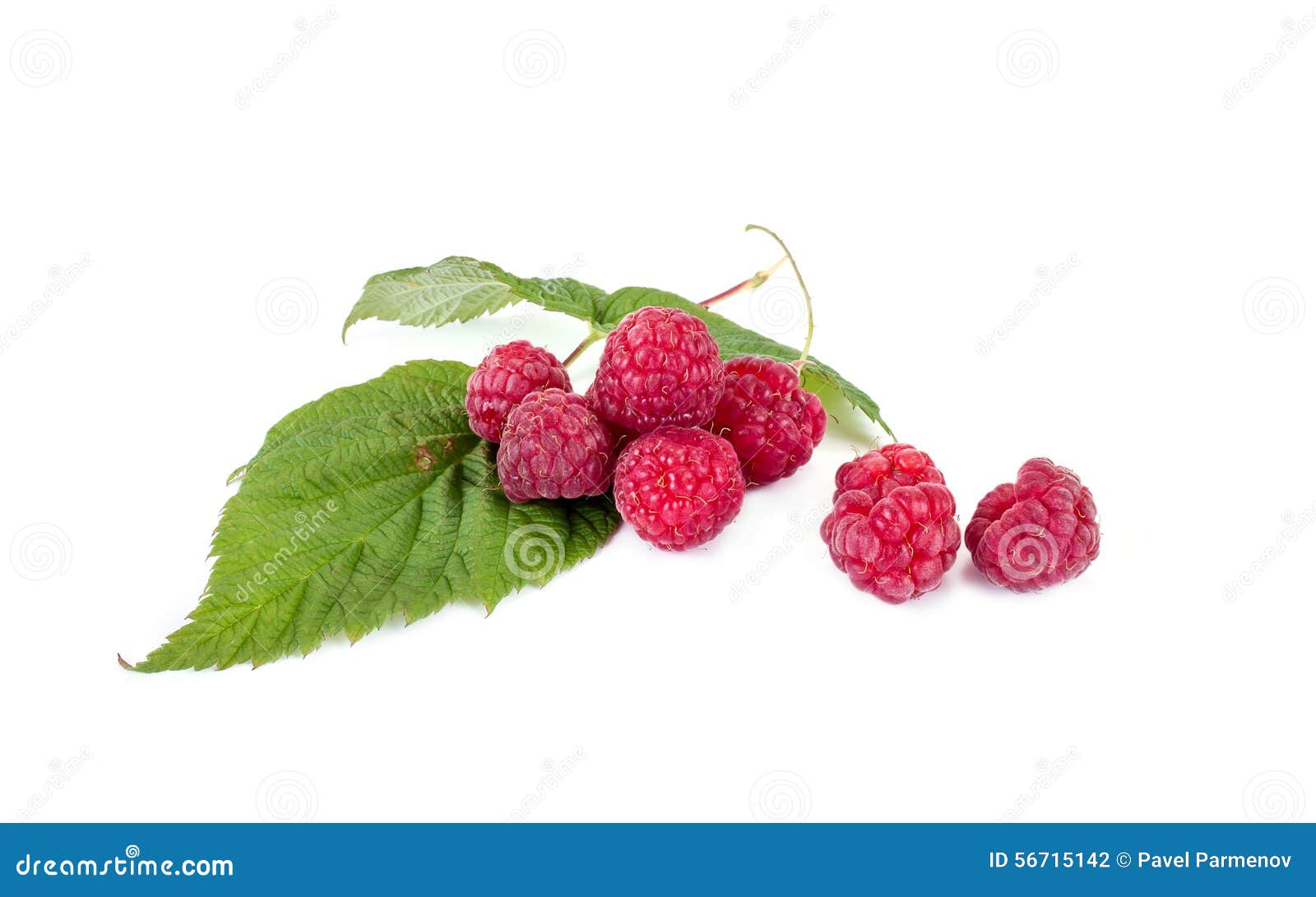 Framboos stock foto. Image of smakelijk, vitamine, product - 56715142