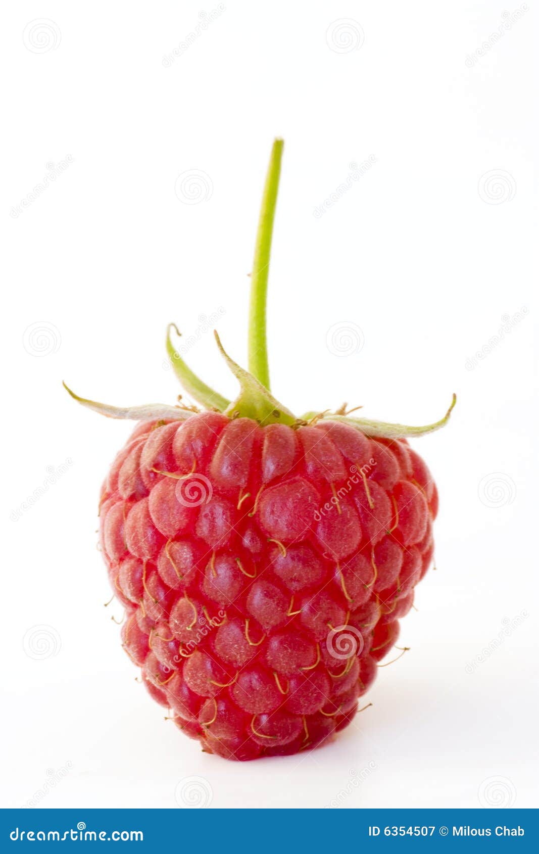 Framboos stock afbeelding. Image of voeding, vers, sluit - 6354507