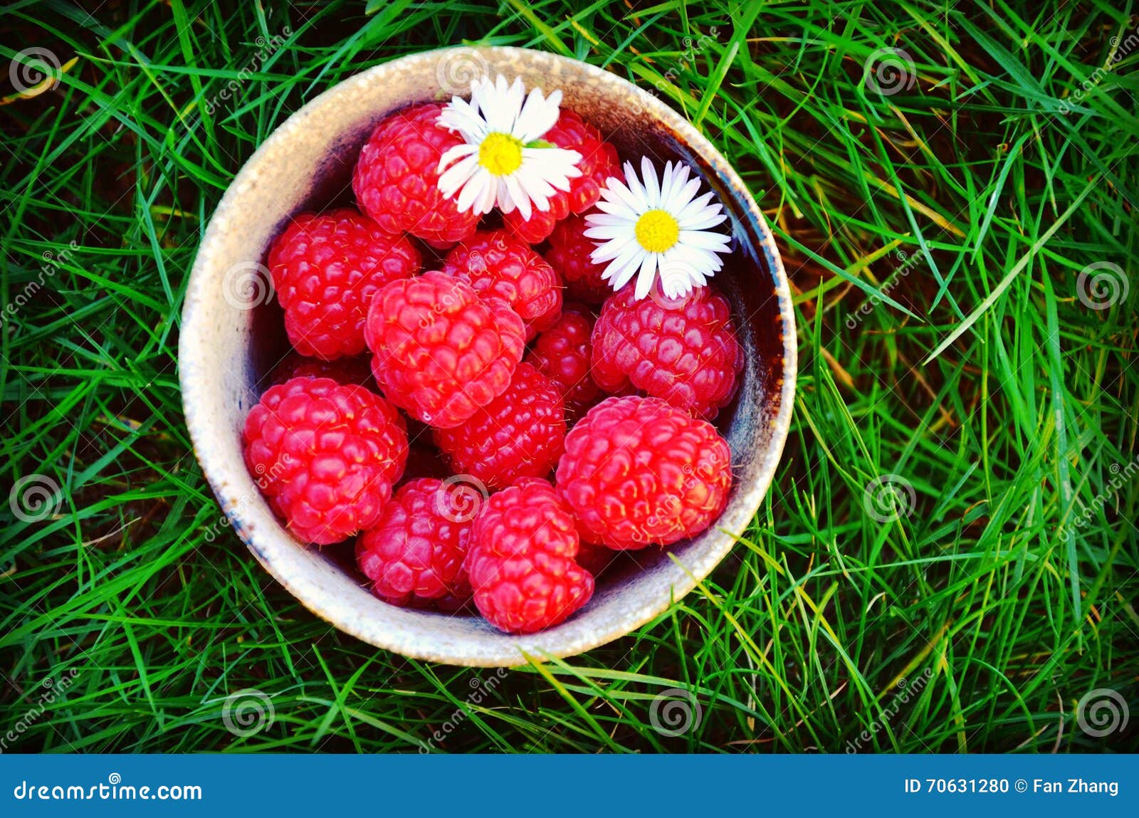 Framboos stock foto. Image of vrucht, aardbei, opbrengst - 70631280