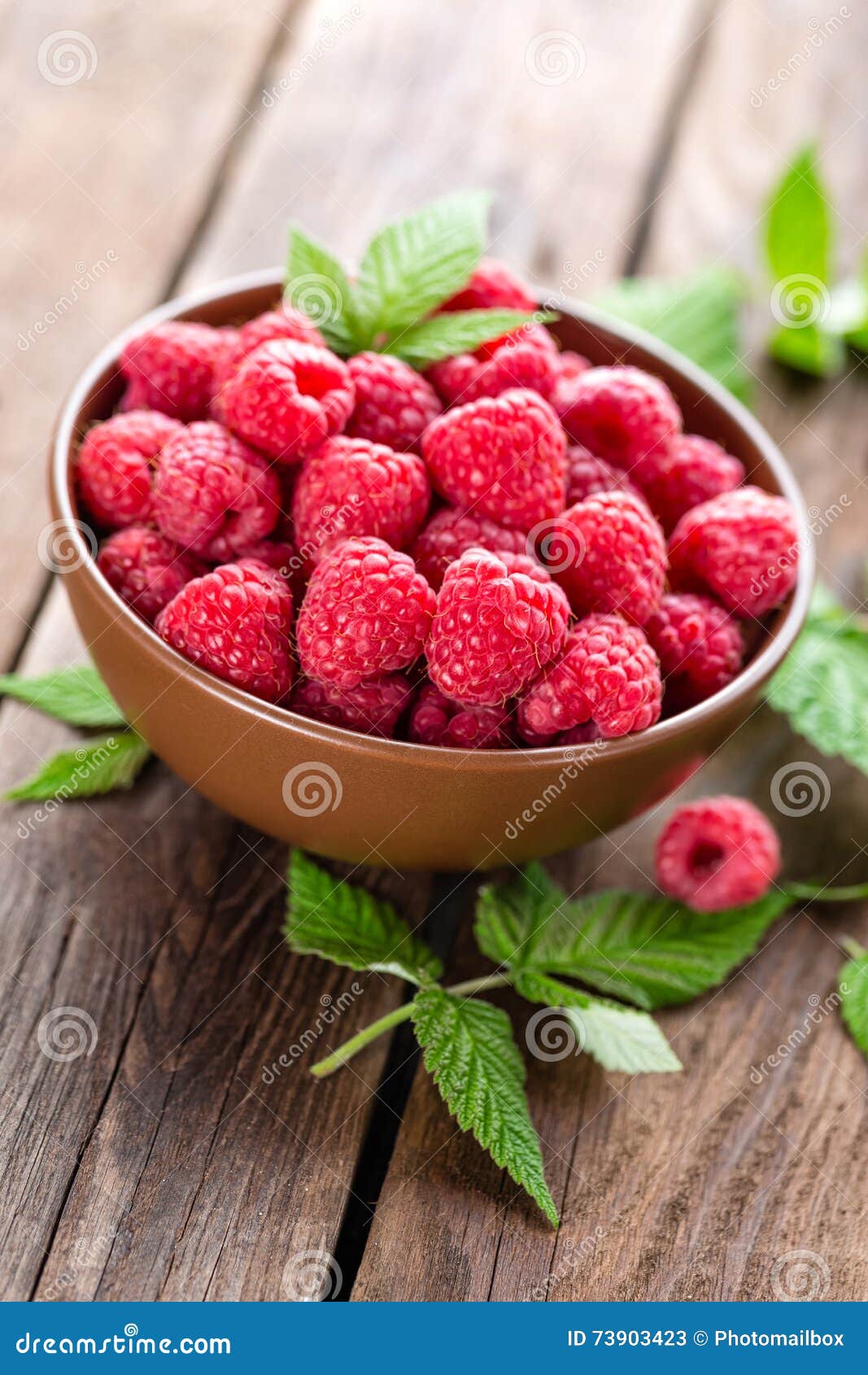 Framboos stock afbeelding. Image of blad, zoet, groen - 73903423