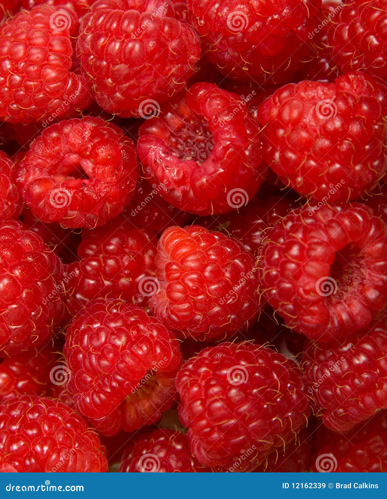 Frambozen stock afbeelding. Image of kleur, frambozen - 12162339