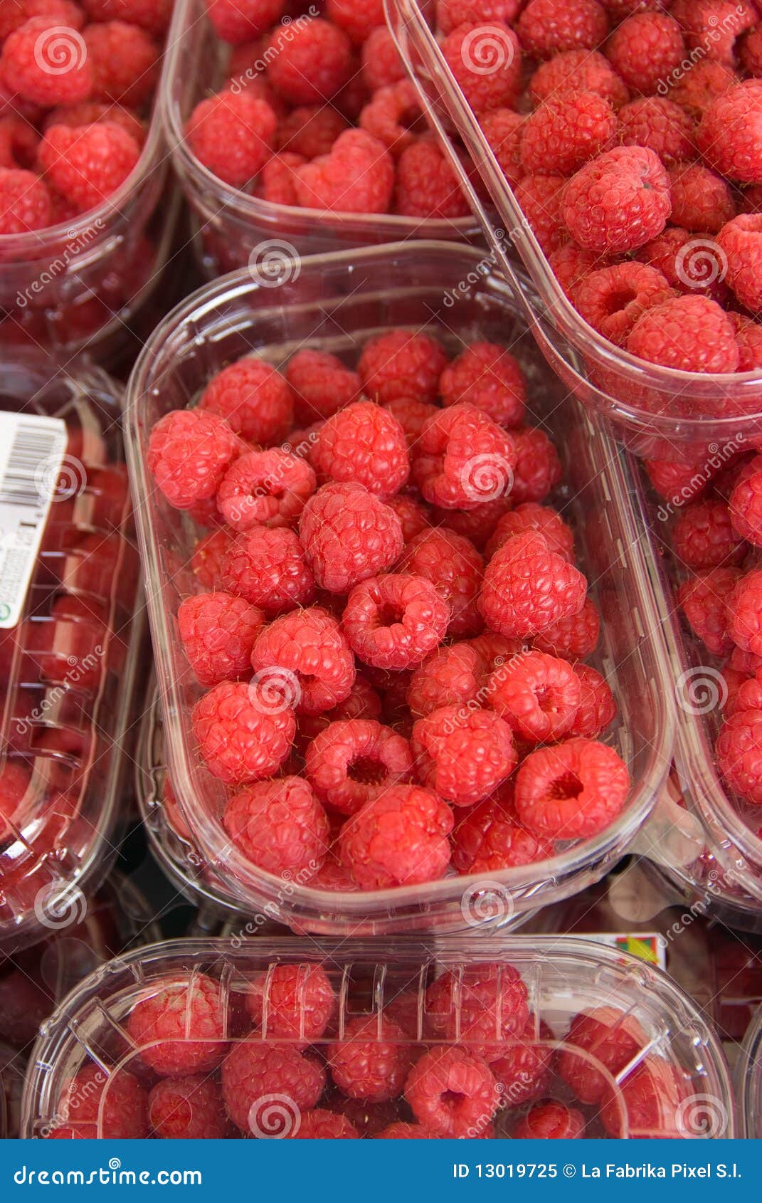 Frambozen stock afbeelding. Image of markt, zoet, rijp - 13019725