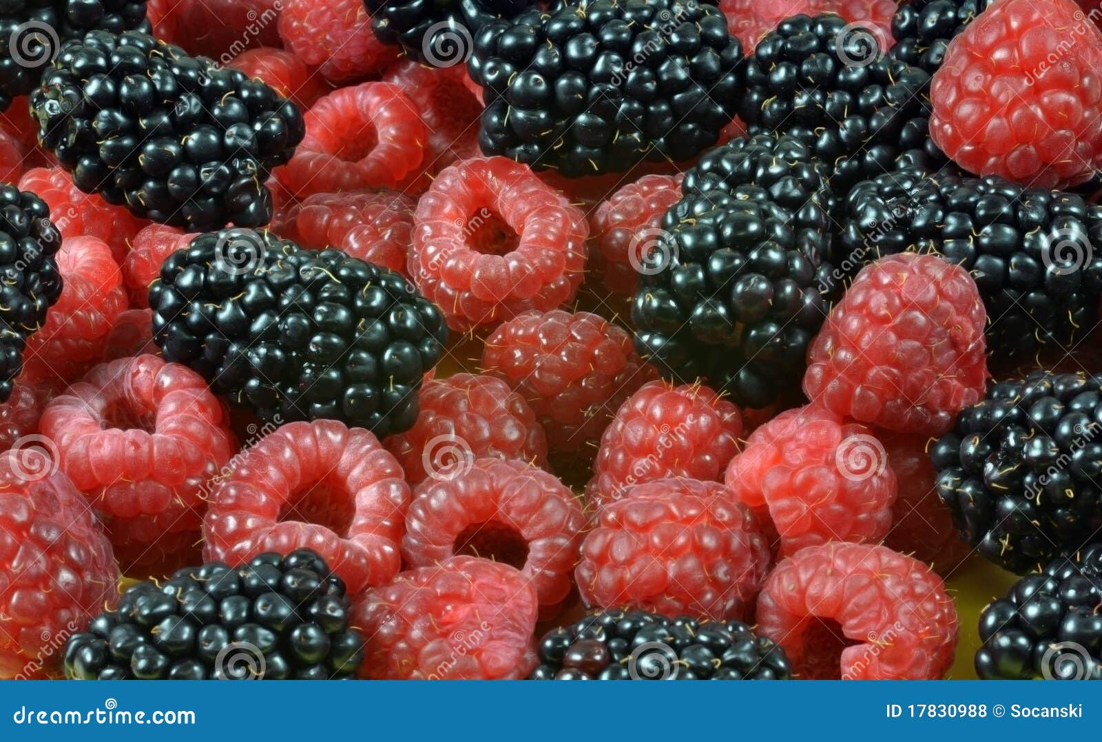 Frambozen en Braambessen stock foto. Image of zoet, verfrissing - 17830988