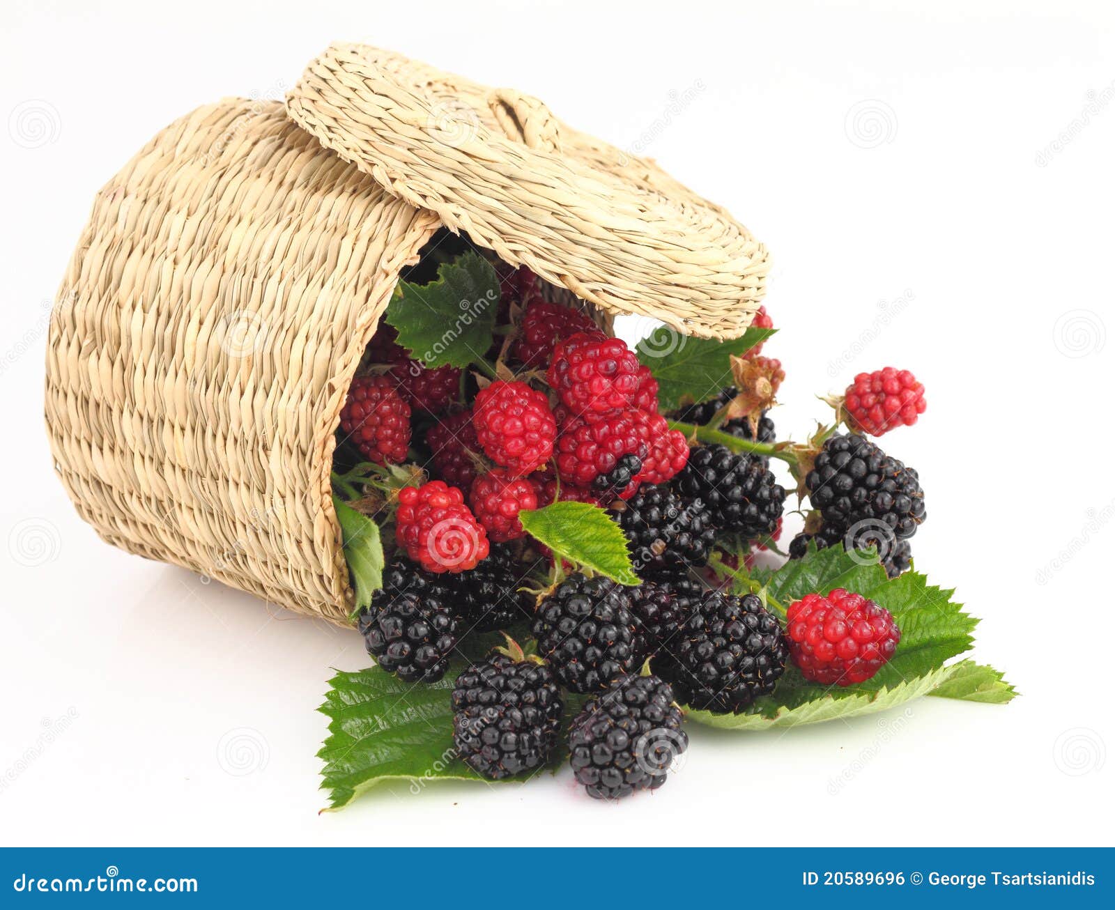 Frambozen en Braambessen stock foto. Image of frambozen - 20589696