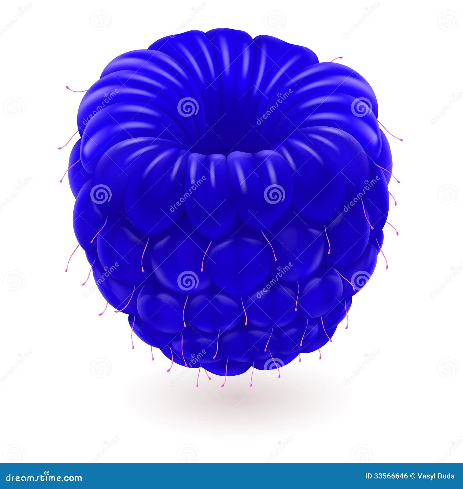 Frambuesa azul. stock de ilustración. Ilustración de modificado - 33566646