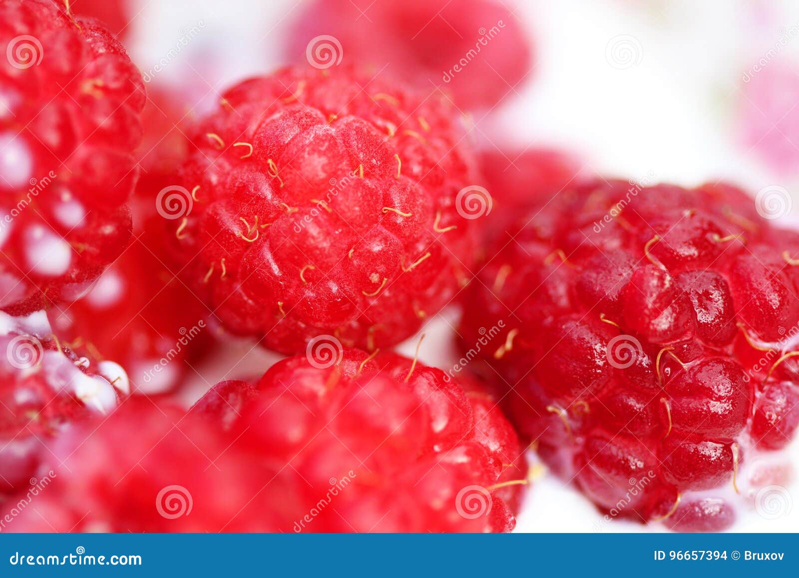 Frambuesa roja foto de archivo. Imagen de baya, flor - 96657394
