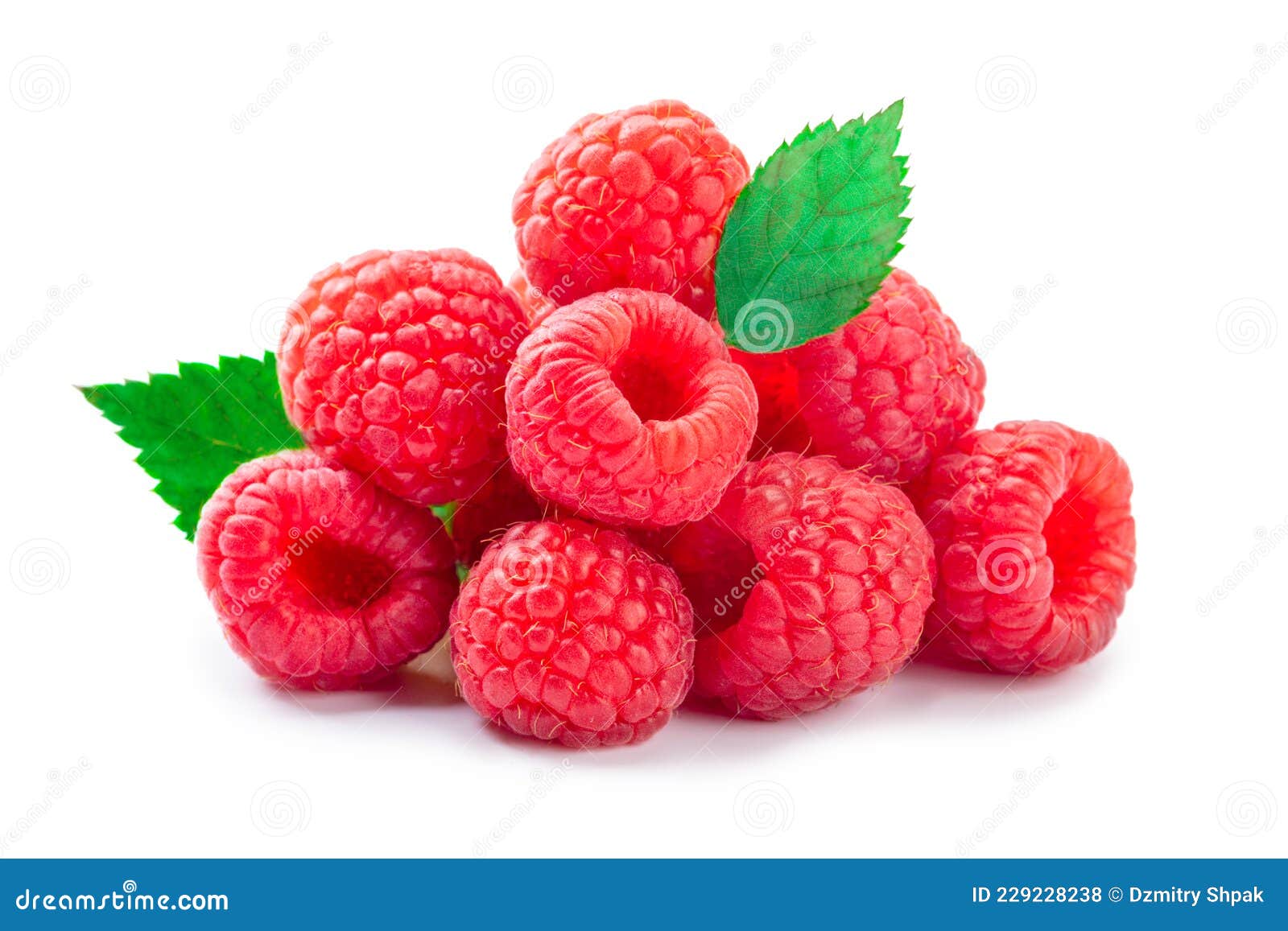 Frambuesa Roja Aislada En Un Fondo Blanco Foto de archivo - Imagen de ...