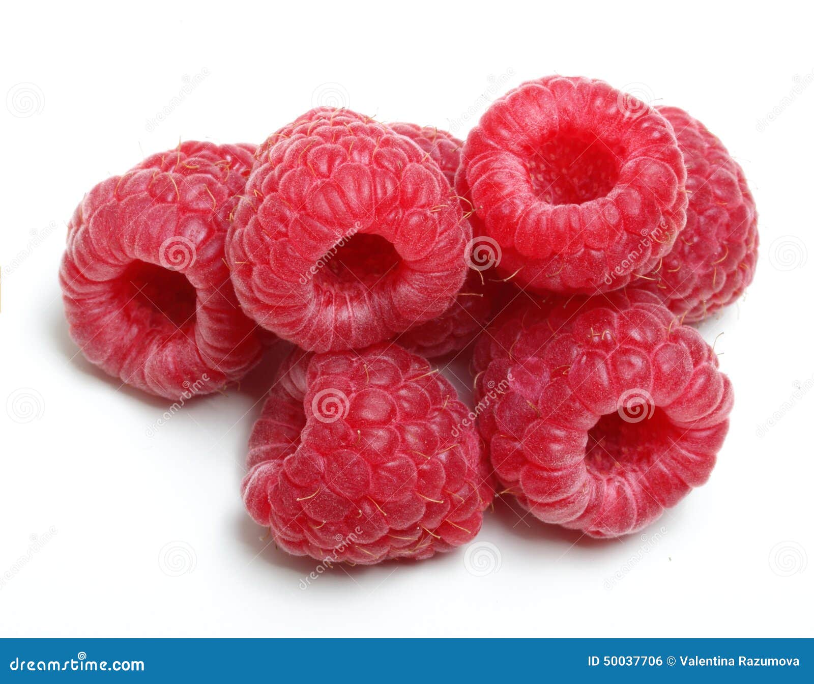 Frambuesa Roja De La Baya Aislada Foto de archivo - Imagen de bosque ...