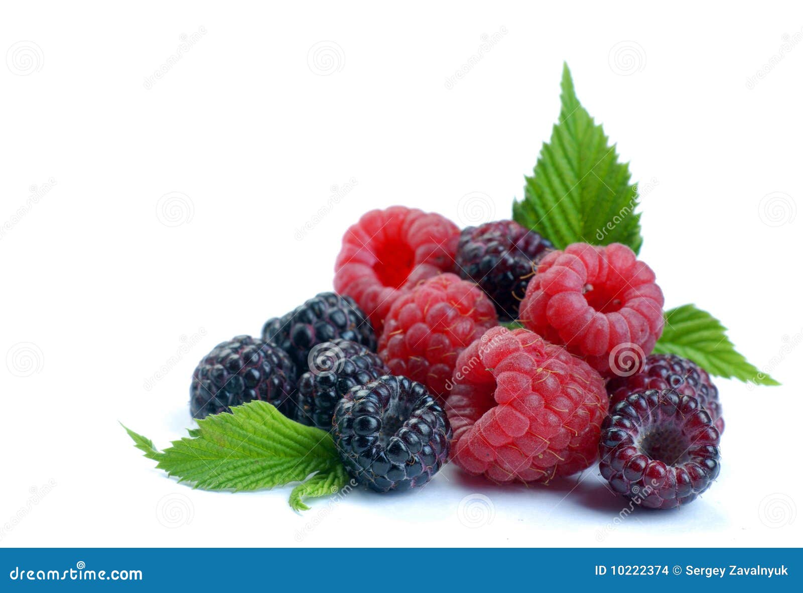 Frambuesa Roja Y Negra Con Las Hojas Foto de archivo - Imagen de negro ...