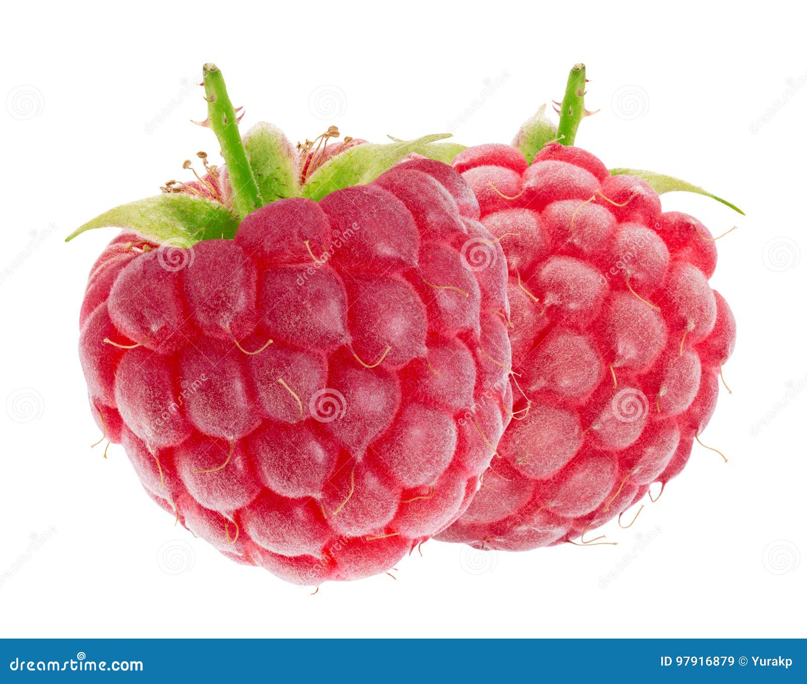 Frambuesas Aisladas En Un Fondo Blanco Imagen de archivo - Imagen de ...