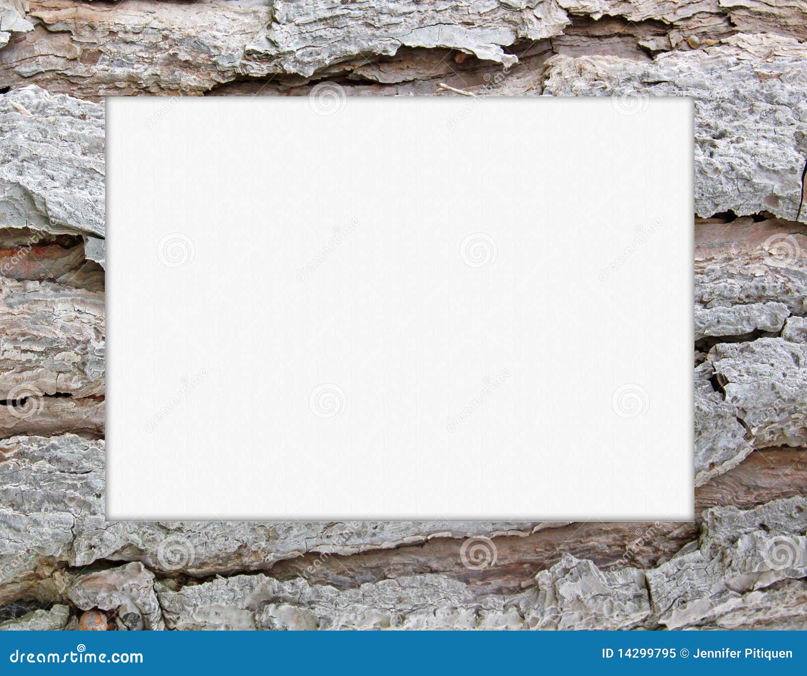 Frame stock image. Image of bark, decorative, trunk, pine - 14299795