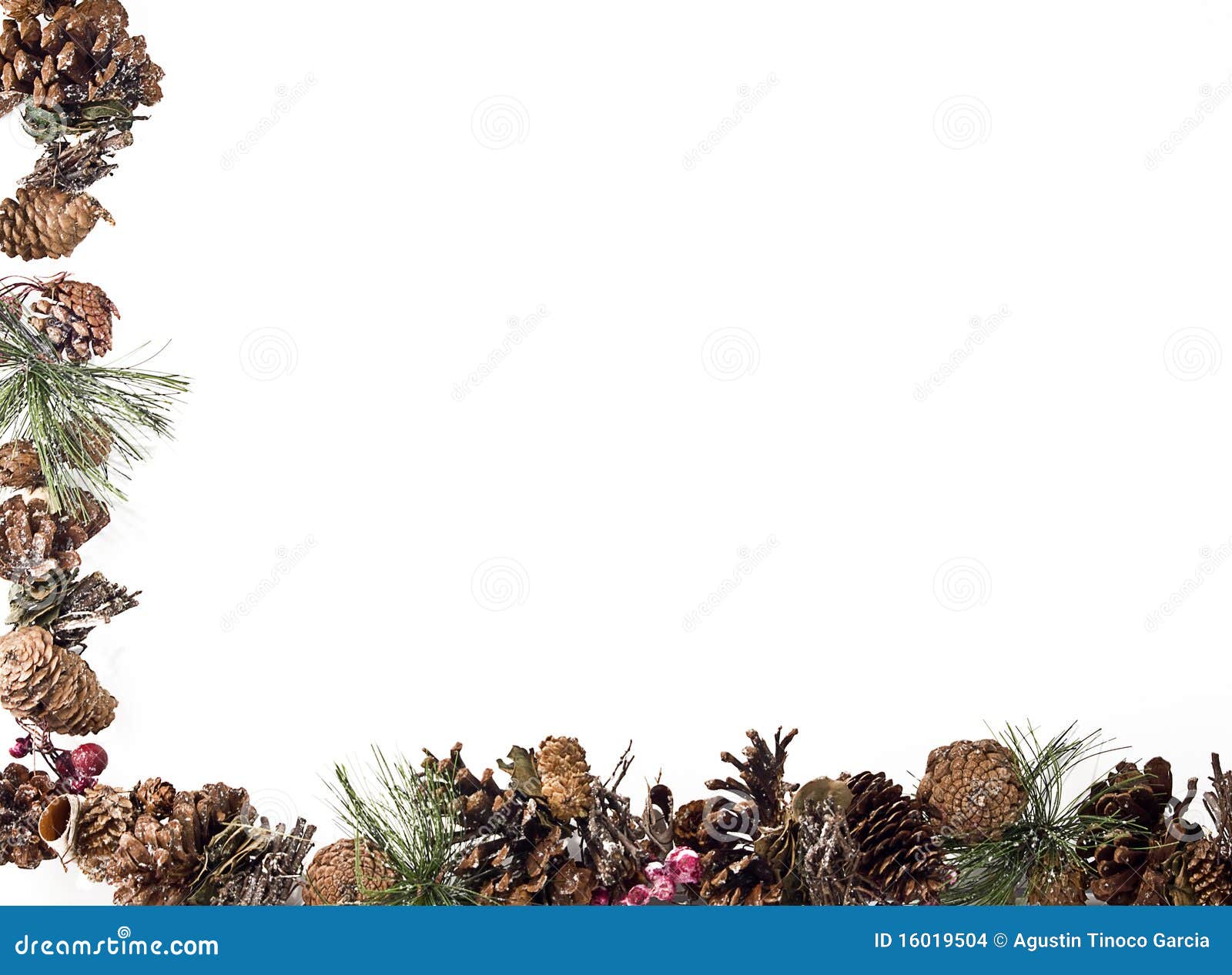 Frame stock photo. Image of ornament, space, corner, tree - 16019504