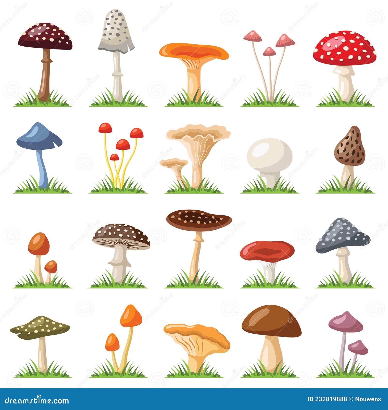 Mushroom and Toadstool Collection - Vector Color Illustration Stock ...