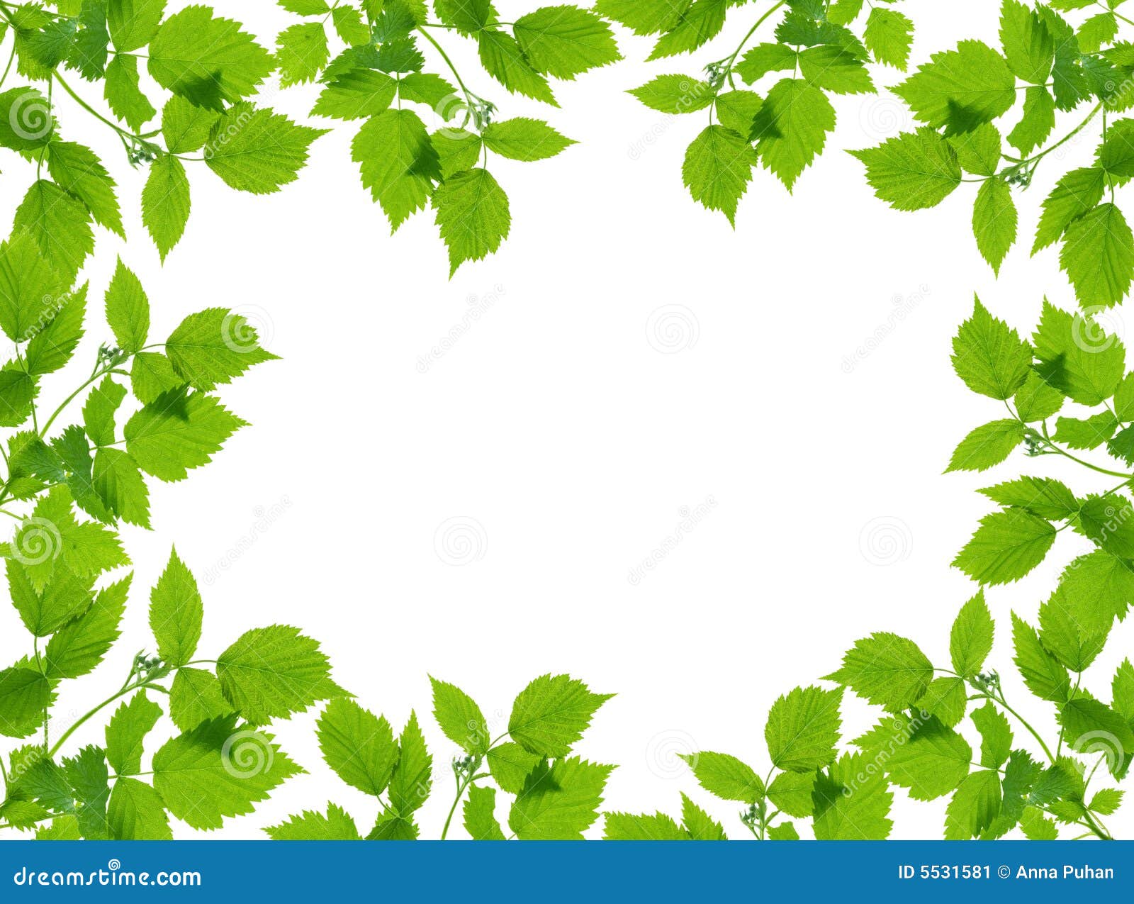 Frame stock image. Image of green, color, forest, design - 5531581