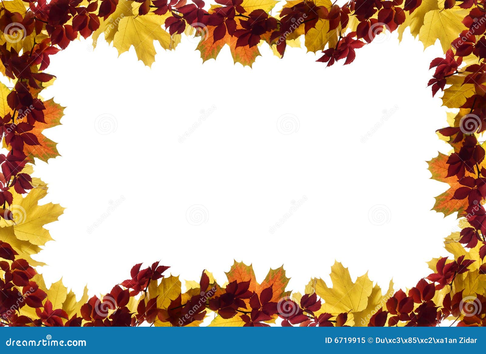 Frame stock image. Image of color, october, plant, bright - 6719915